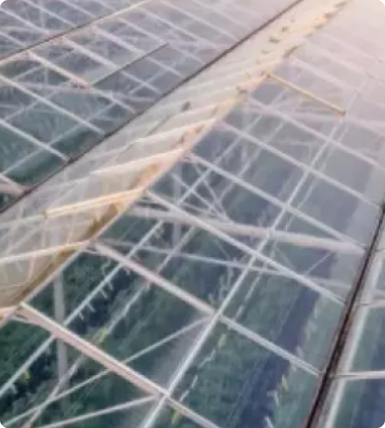 The National Research and Development Center for Sustainable ...